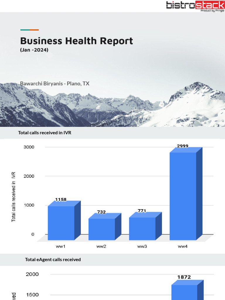 Business Health Report - Guma Gumalu June 2024 | PDF
