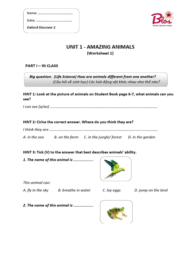 Worksheet 1 Amazing Animals | PDF | Zoology