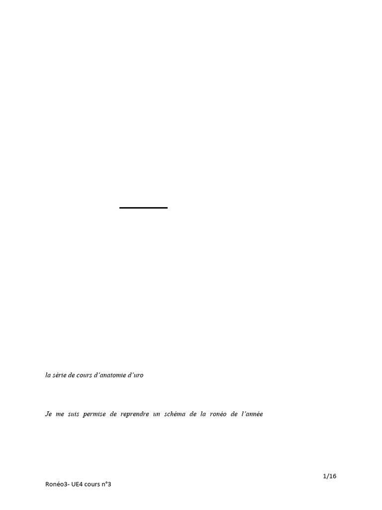 d1 Ue4 Cours3 Anatomie Du Rétropéritoine Ronéo Couleur | PDF