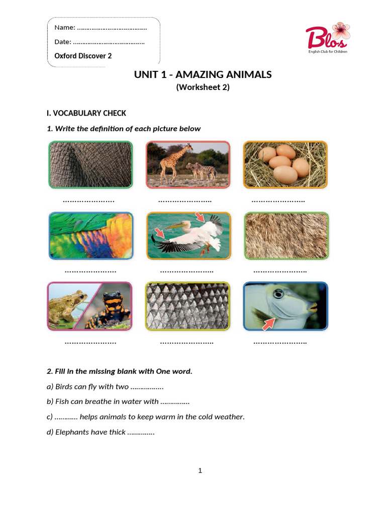 Homework for Amazing Animals | PDF