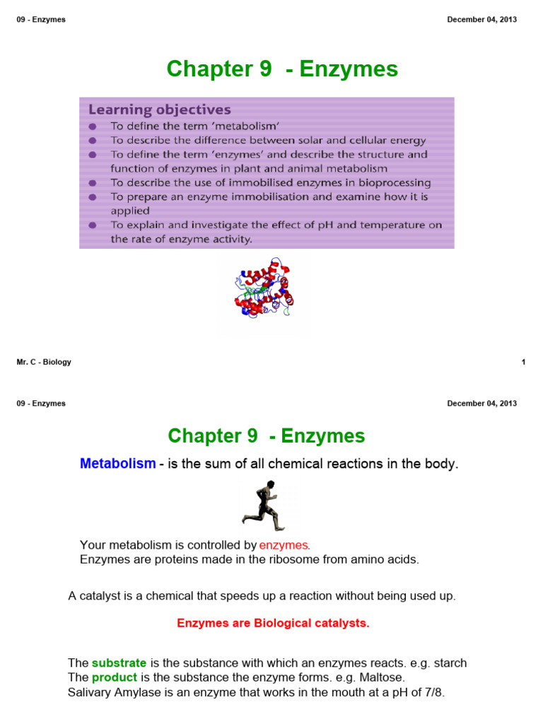 09 - Enzymes | PDF