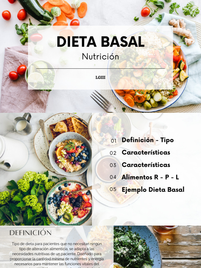 Dieta Basal PDF | PDF