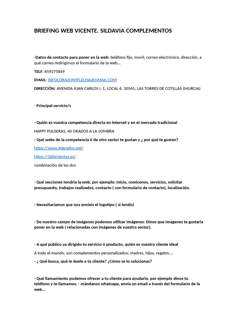 Briefing Web Vicente | PDF