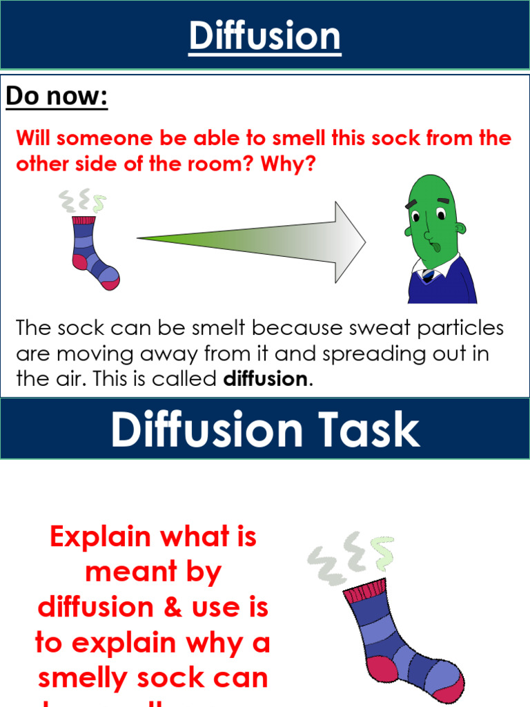 IGCSE Lesson 4 Diffusion Notes | PDF