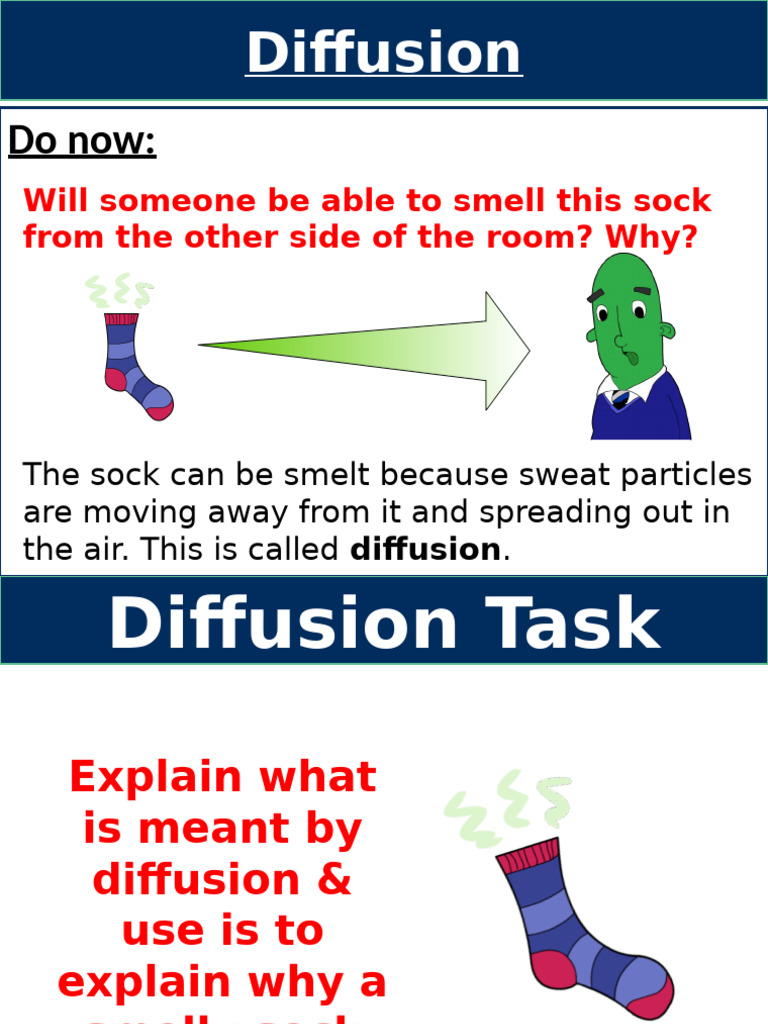 IGCSE Lesson 4 Diffusion | PDF