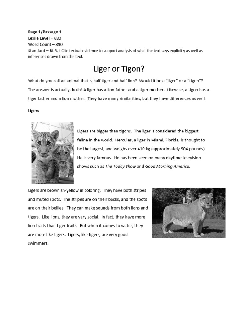 6th Grade Informational Text | PDF