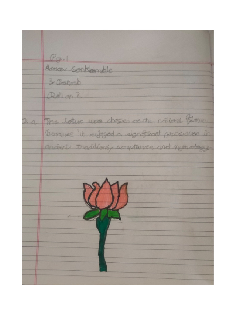Aarav Sonkamble Class 3 Deneb EVS Half Yearly Exam | PDF