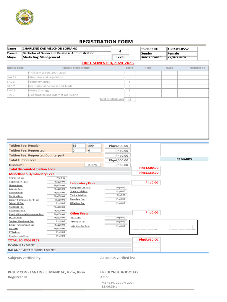 Registration Form: Republic of The Philippines Conner, Apayao Official ...