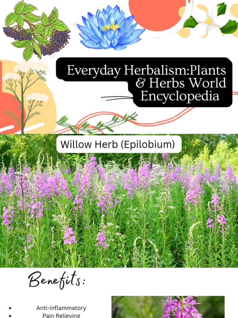 Everyday Herbalism Plans & Herbs World Encyclopedia | PDF