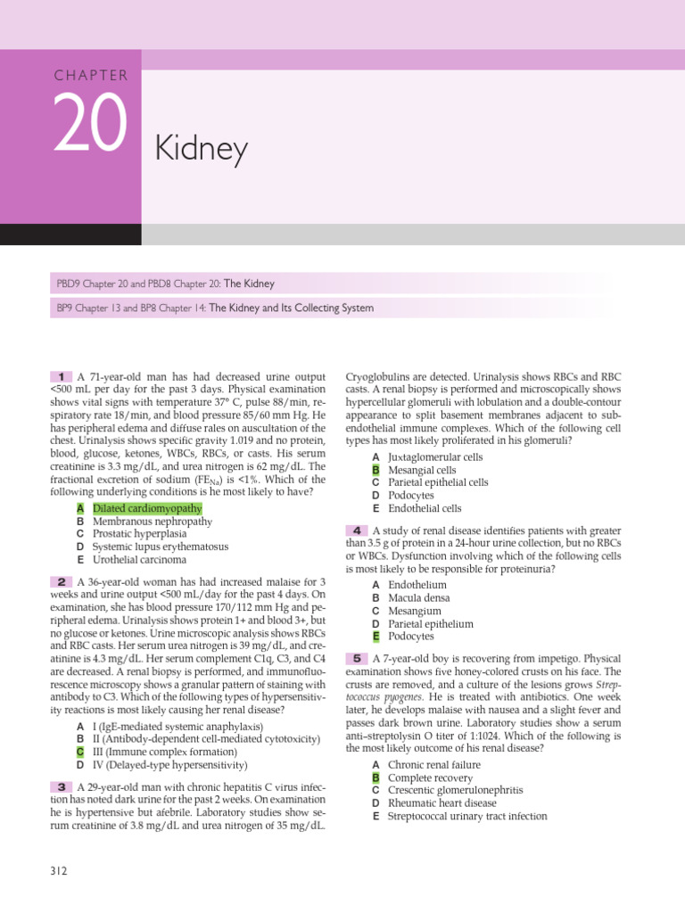 Renal Robn PDF | PDF