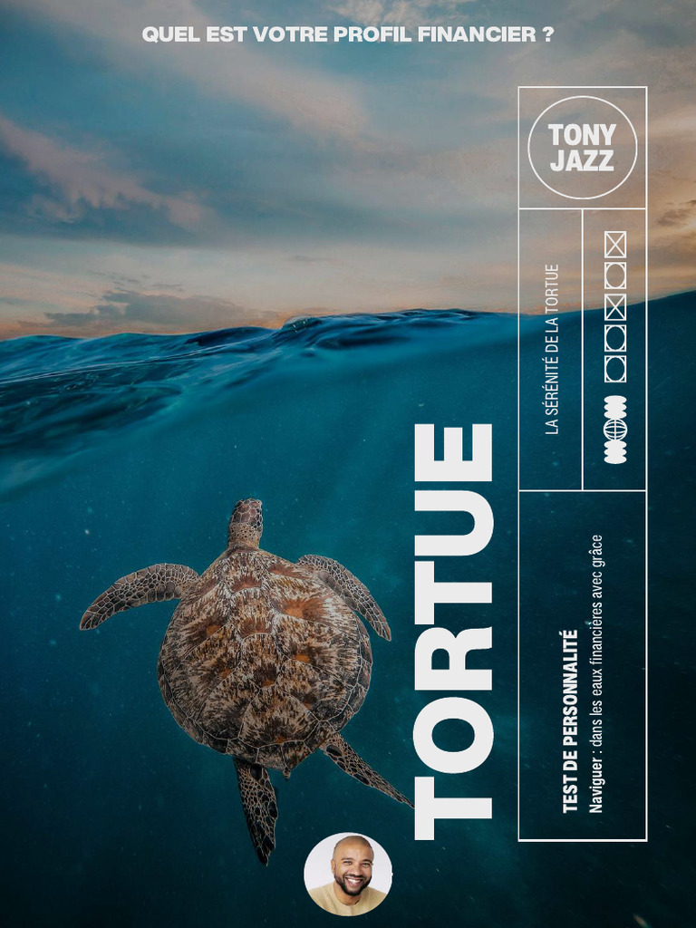 TONY JAZZ Profil Financier TORTUE | PDF