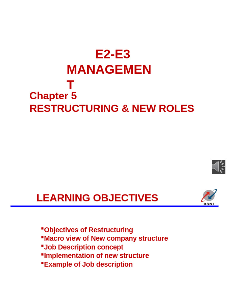 E2-E3 - PPT - Chapter 5. Restructuring - New Roles | PDF