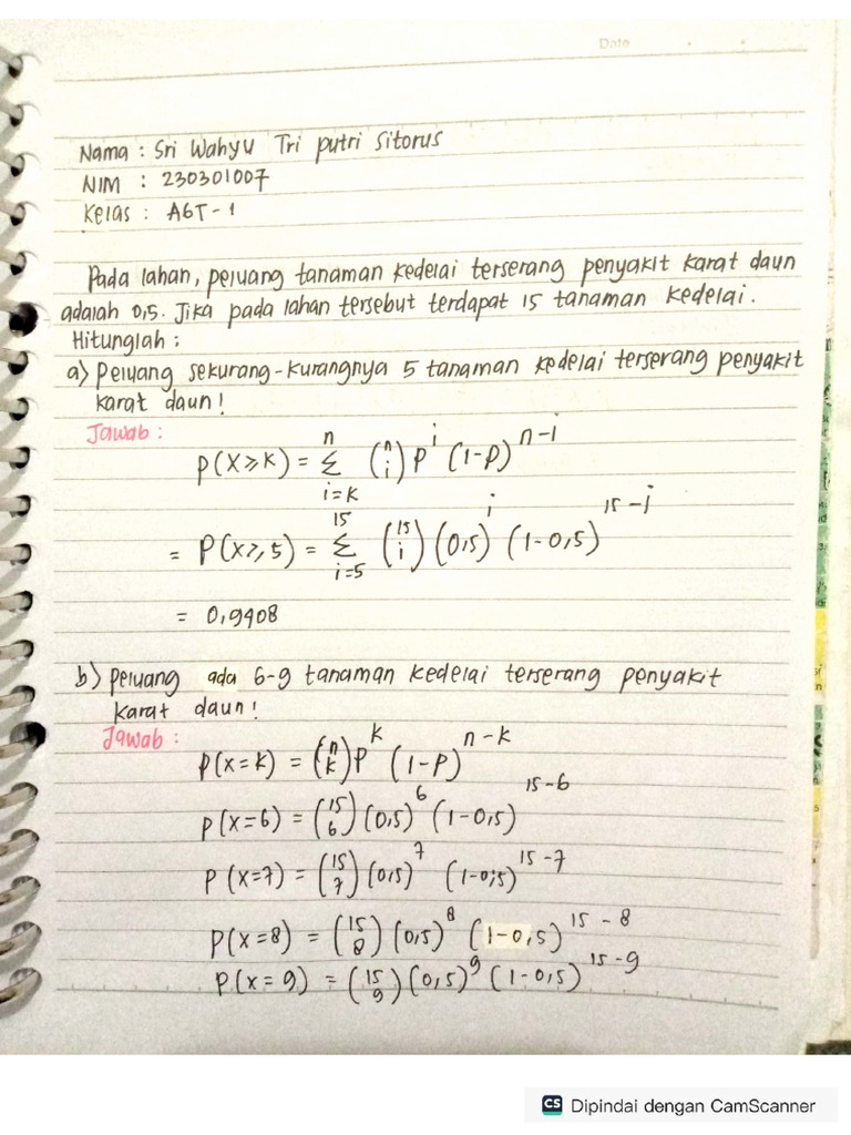 Sri Wahyu Tri Putri Sitorus | PDF