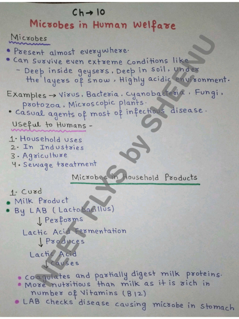 Microbes in human welfare | PDF