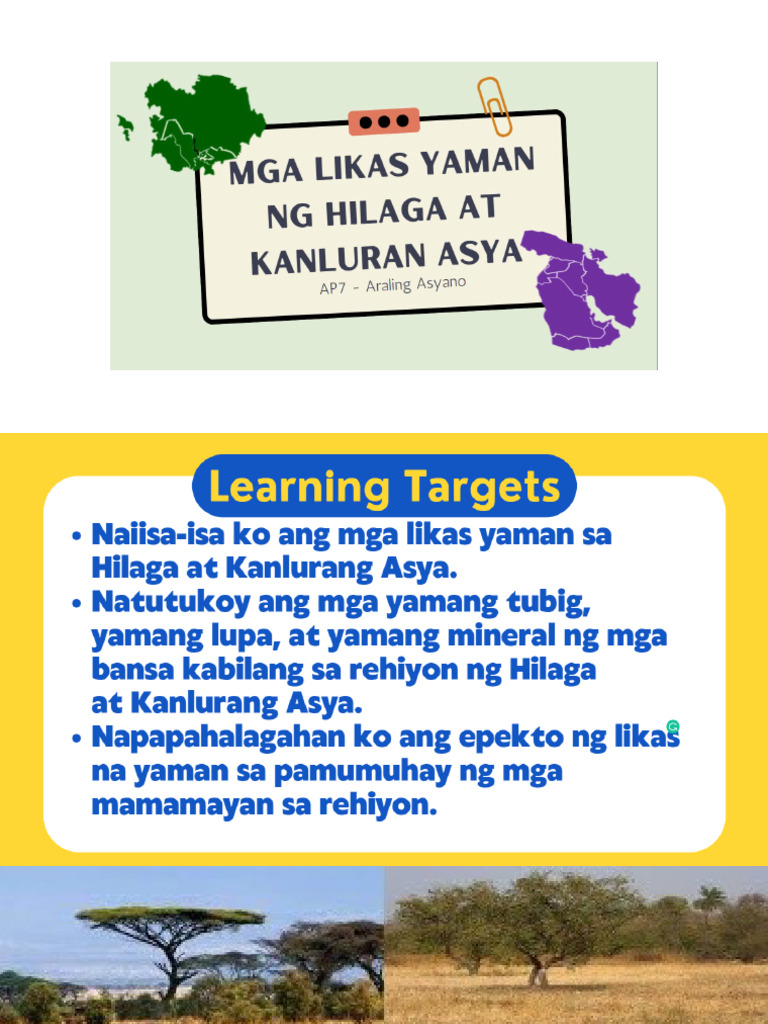 AP 7 Mga Likas Yaman NG Hilaga at Kanlurang Asya | PDF