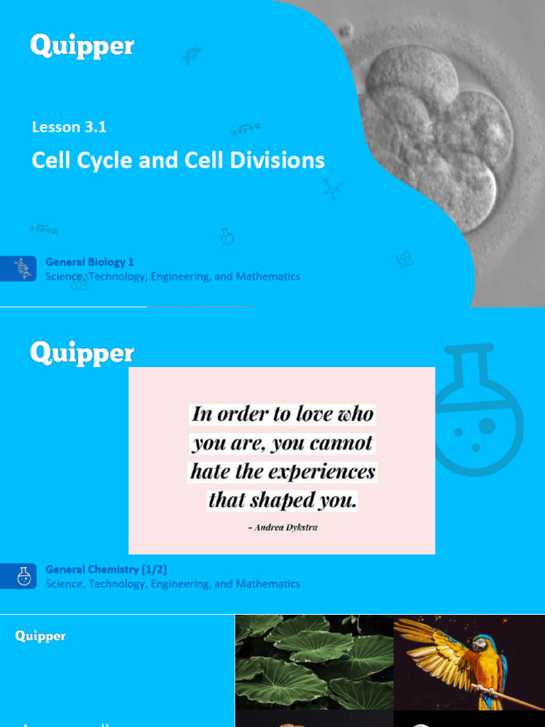 H. Cell Cycles and Cell Divisions | PDF