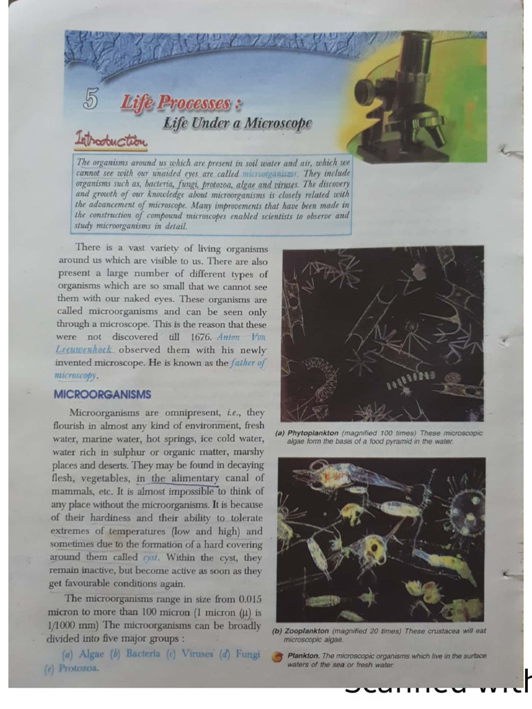 Life Under A Microscope | PDF