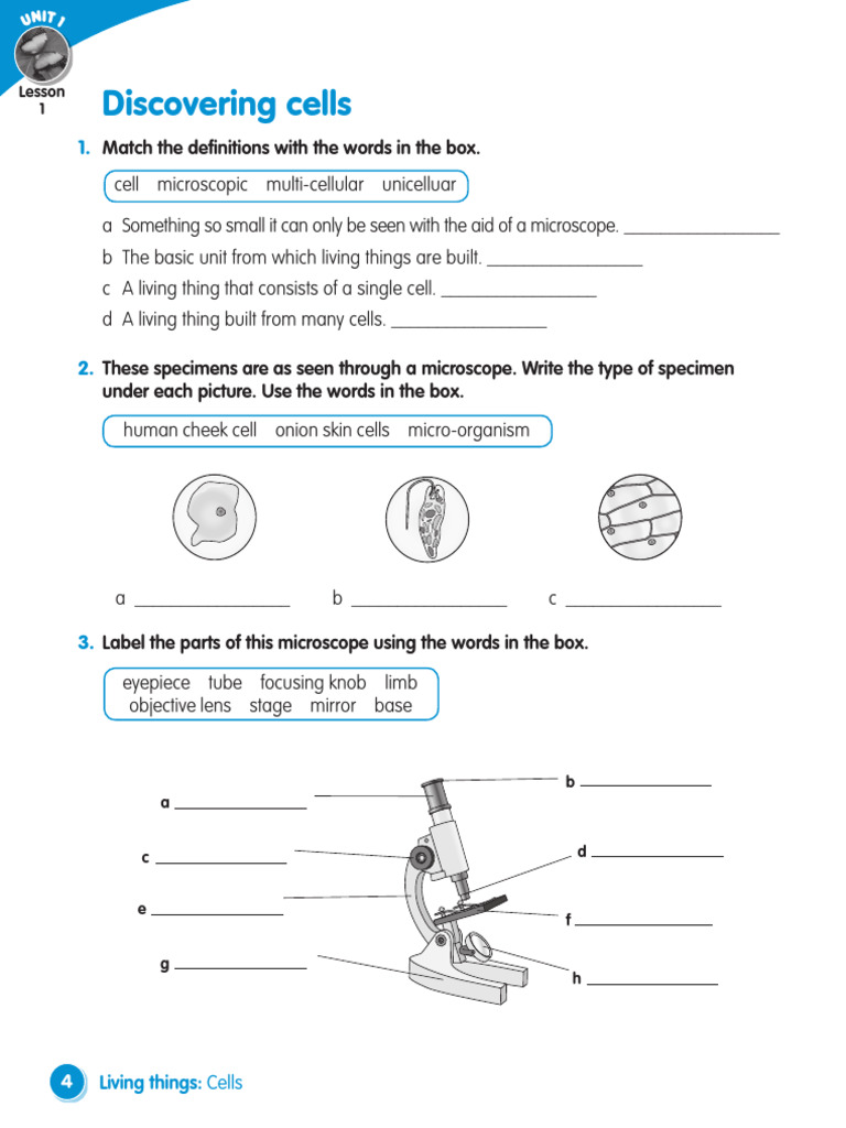 Macmillan Science Level 6 Workbook Unit 1 PP 4 8 | PDF
