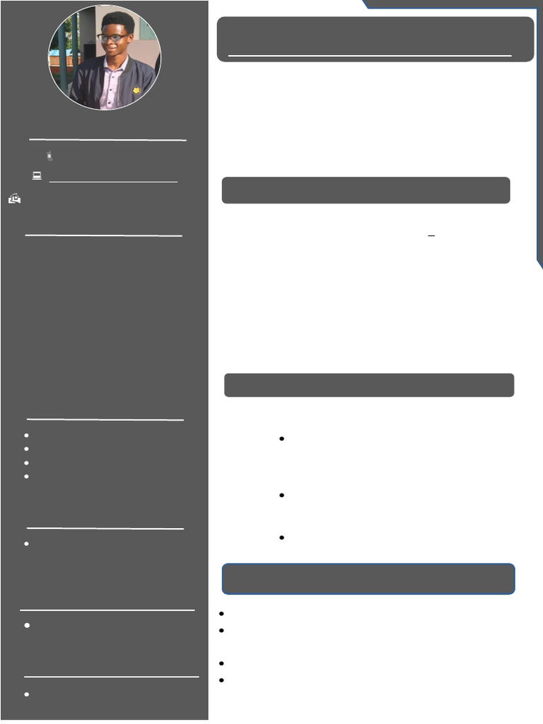 Cv-Novo Model 1 | PDF