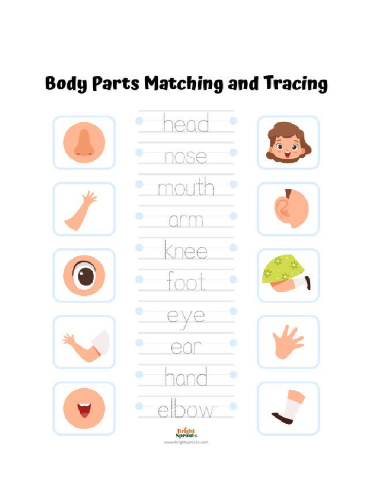 body parts matching and tracing | PDF