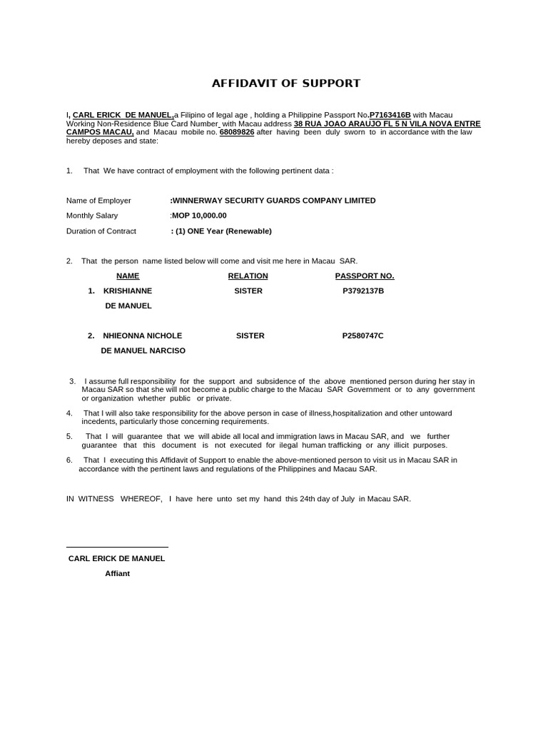 Affidavit of Support | PDF