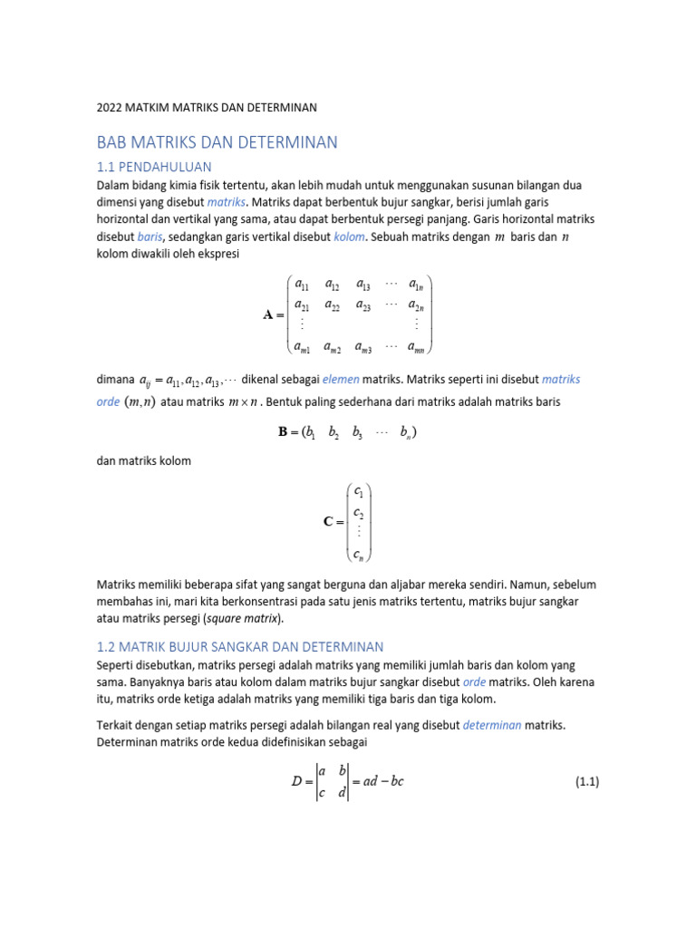 2023 Matkim Matriks Dan Determinan Form 2022 | PDF