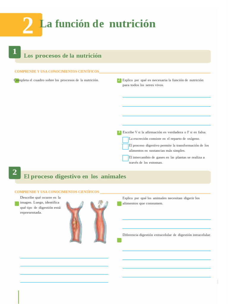 2DA UNIDAD La Funcion de Nutricion | PDF