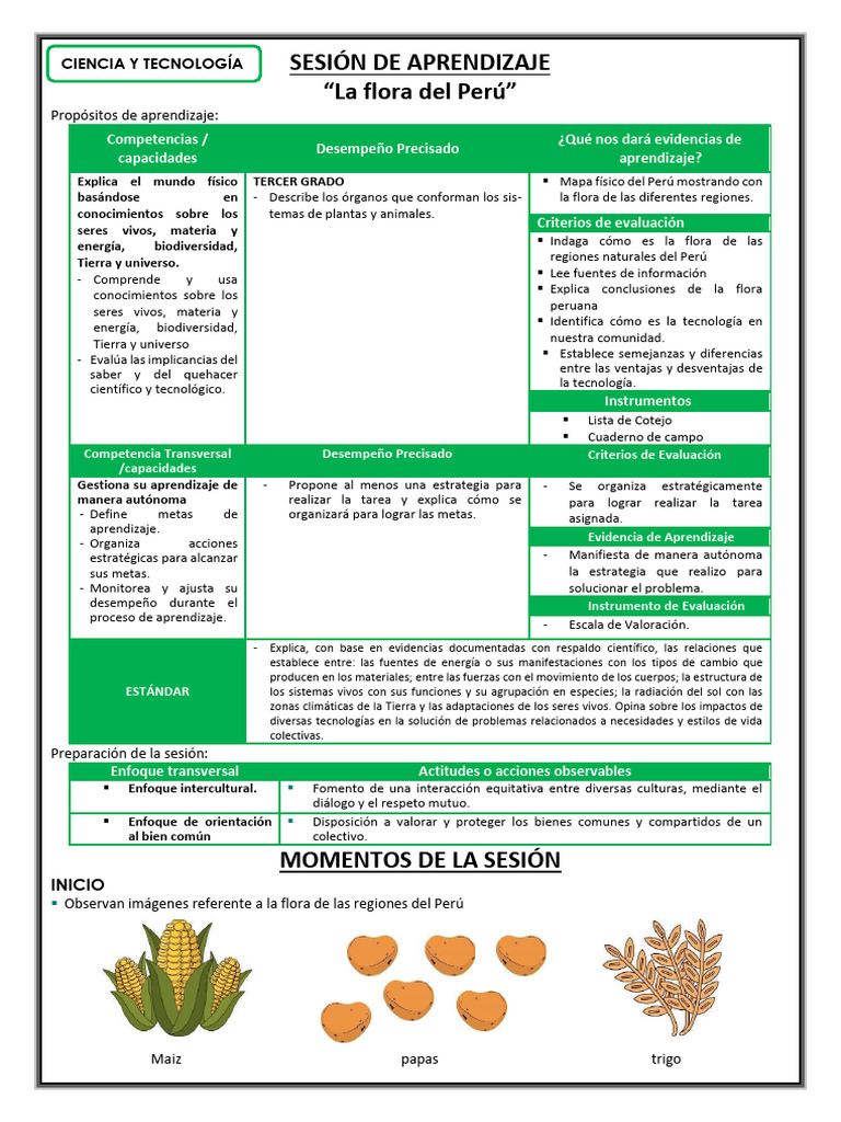23 de Agosto - Ciencia - Tercer Grado | PDF