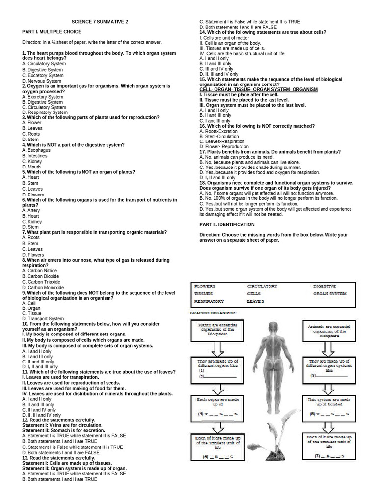 Science 7 Summative 2 | PDF