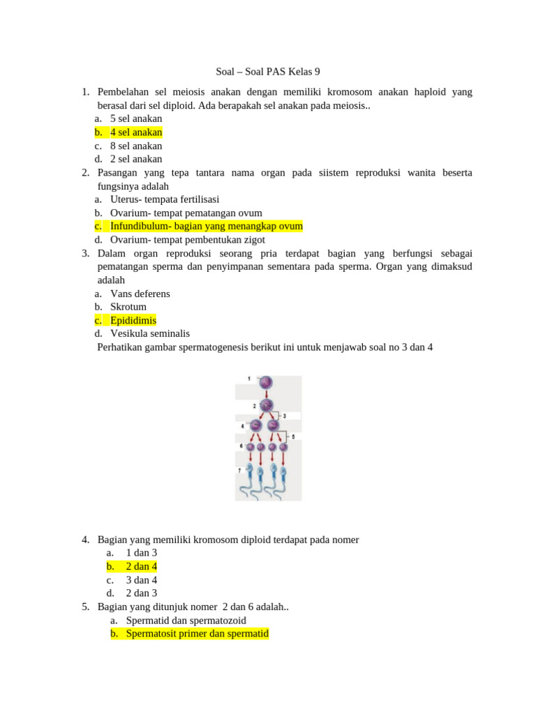 Soal PAS Kelas 9 | PDF