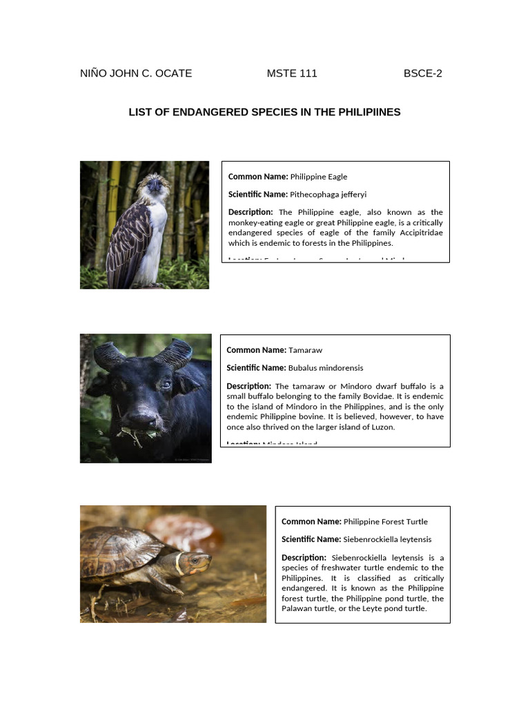 List of Endangered Animals in The Philippines | PDF