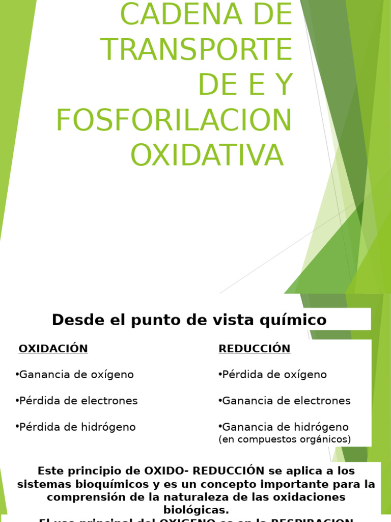 Cadena de Transporte de Electrones y Fosforilacion Oxidativa - 1237 - 0 | PDF | Cadena de ...