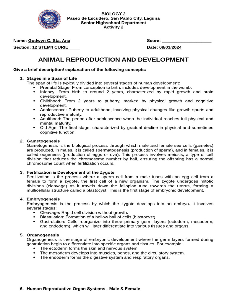 Activity 2 - Animal Reproduction and Development | PDF