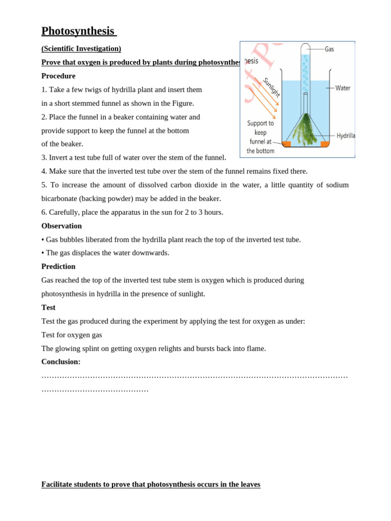 ATP Work Sheet | PDF