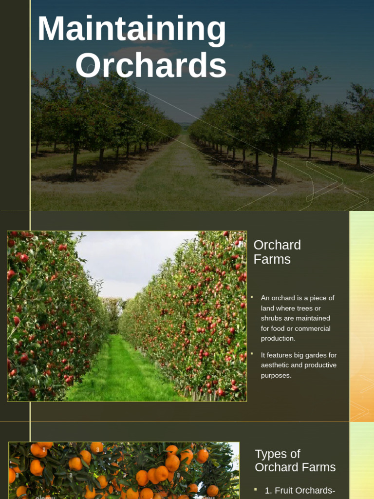 Maintaining Orchards | PDF