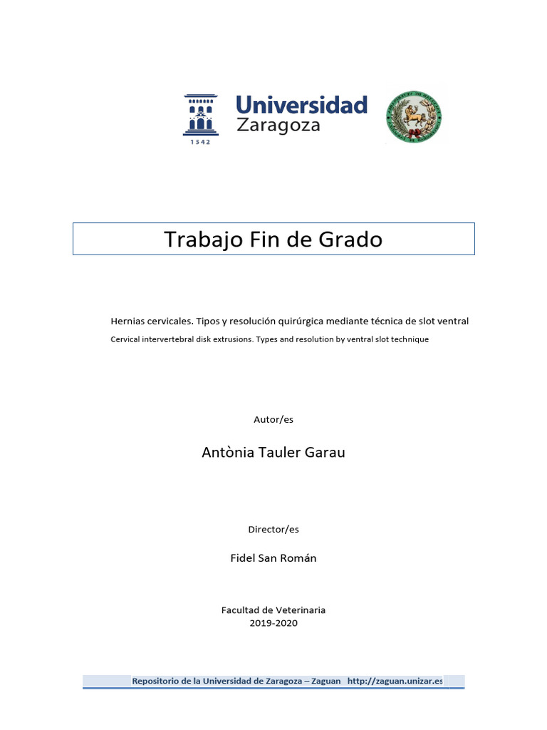 Taz TFG 2020 3801 | PDF