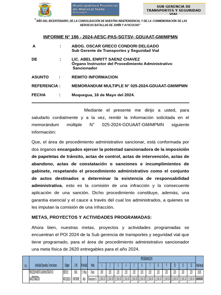 INFORME DE METAS Y LOGROS PAS PEI | PDF