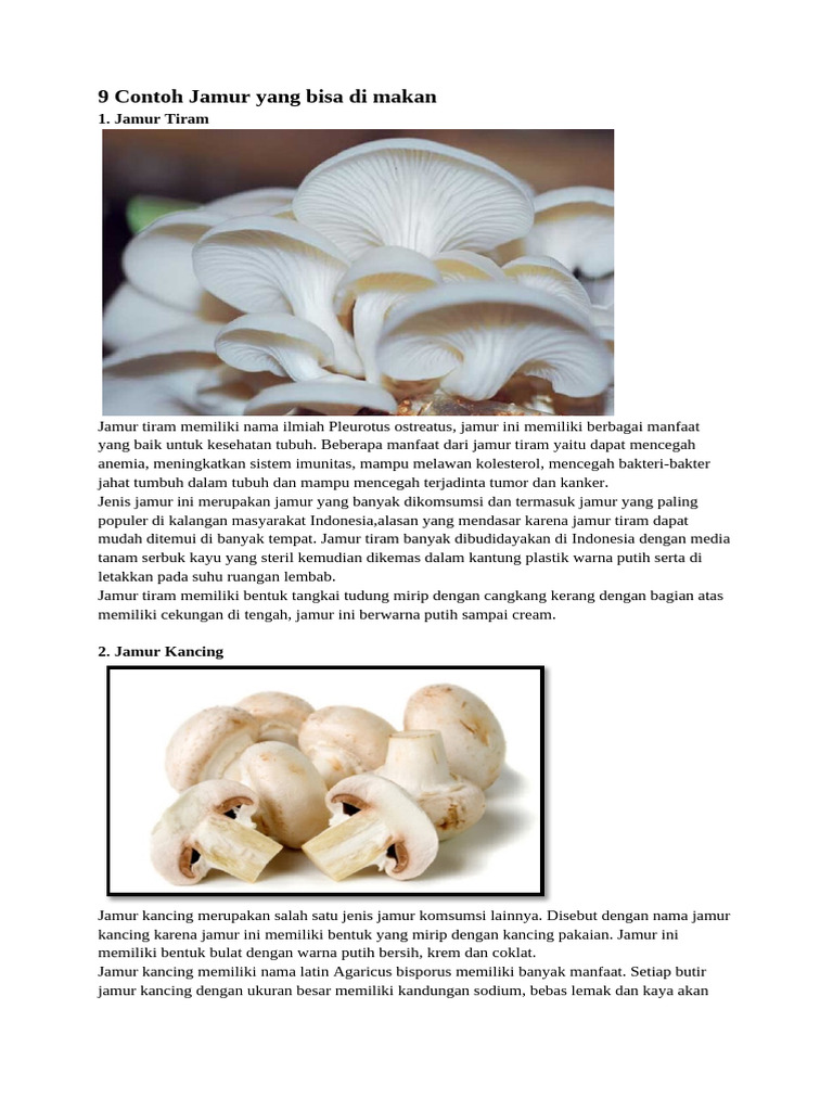 9 Contoh Jamur Yang Bisa Di Makan | PDF