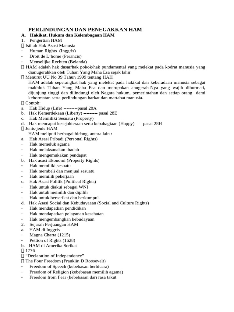 Perlindungan Dan Penegakkan Ham | PDF