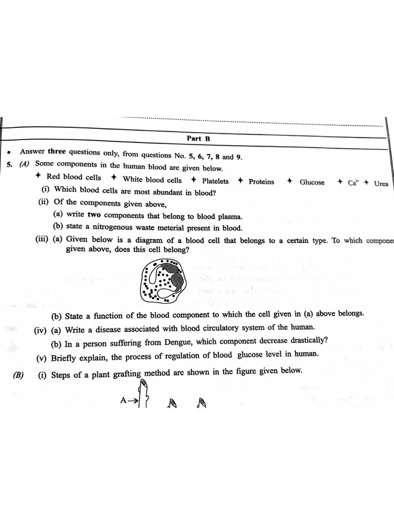 systems | PDF systems | PDF