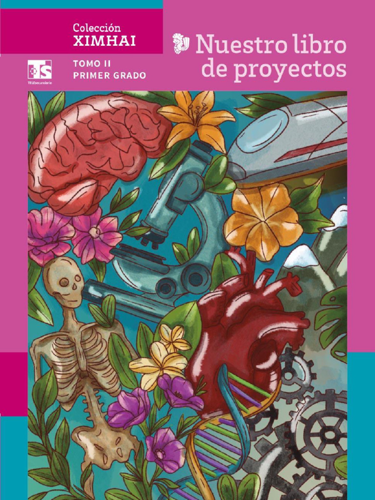 Nuestro Libro de Proyectos (Tomo II) | PDF