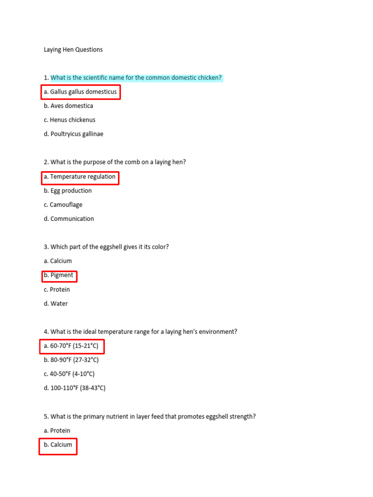 Kami Export - Ruby Valdez - Laying Hen Questions - Docx.kami | PDF