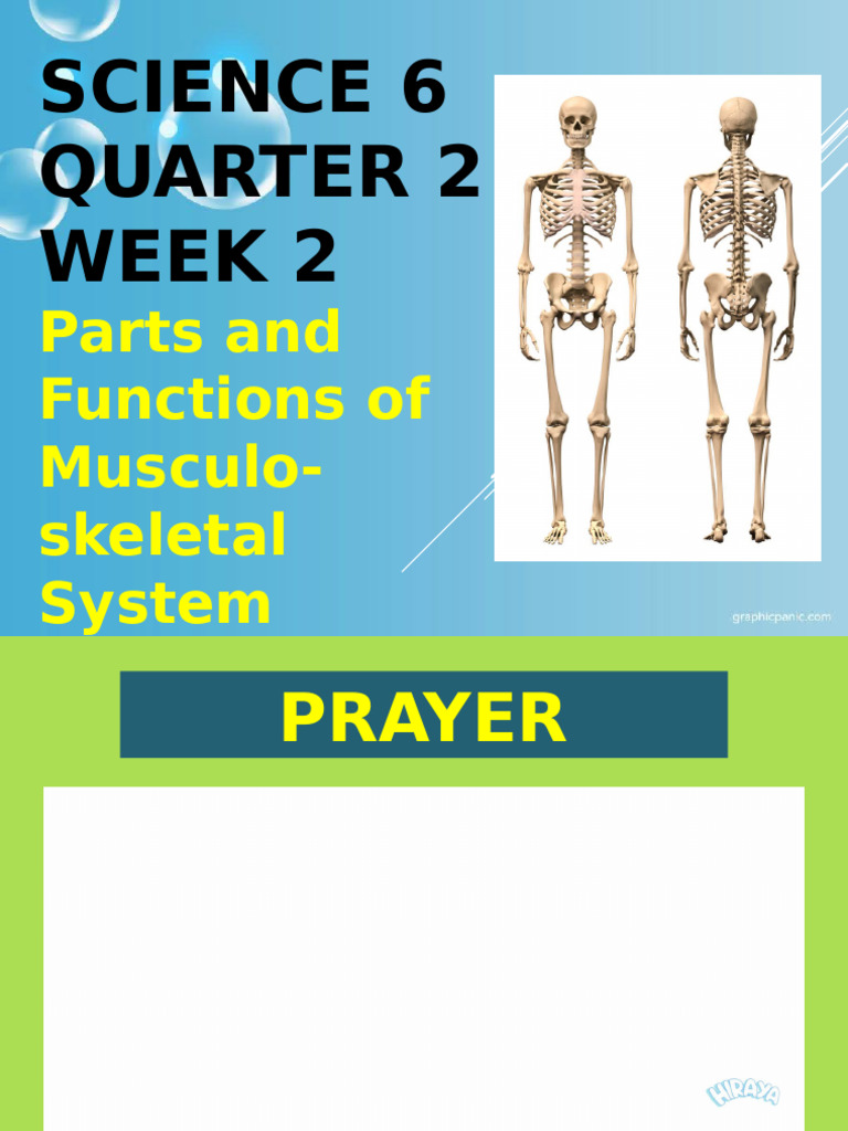 Sceince 6 - Q2 W2 - Parts and Function of Musculo-Skeletal System | PDF ...
