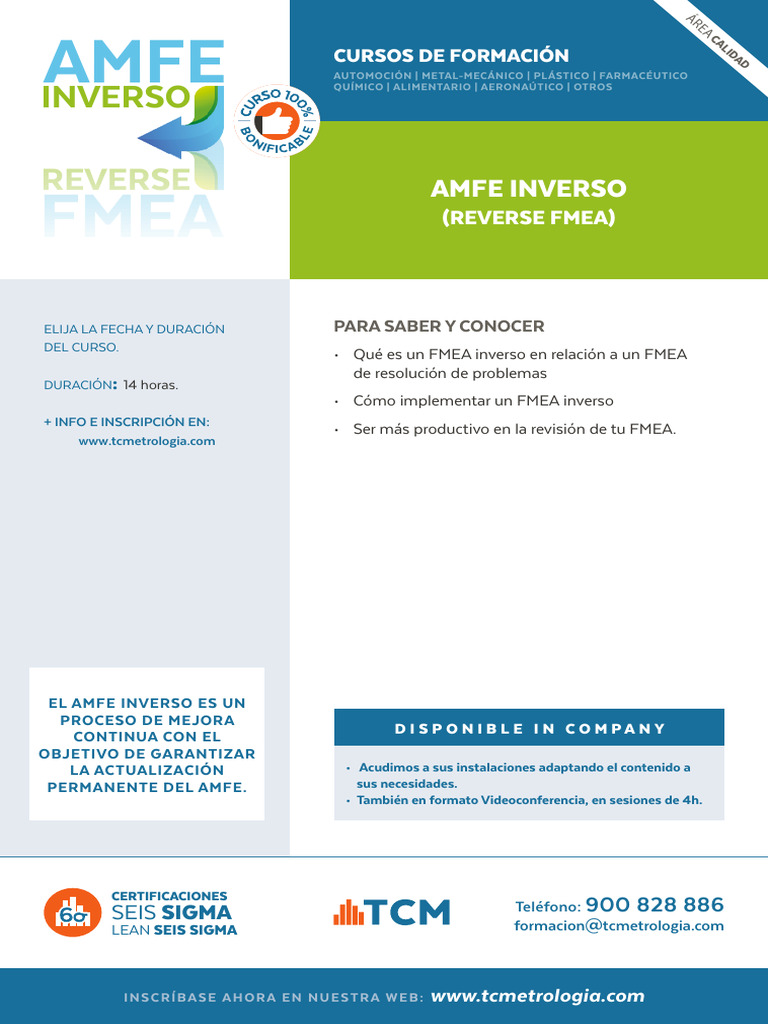AMFE Inverso | PDF