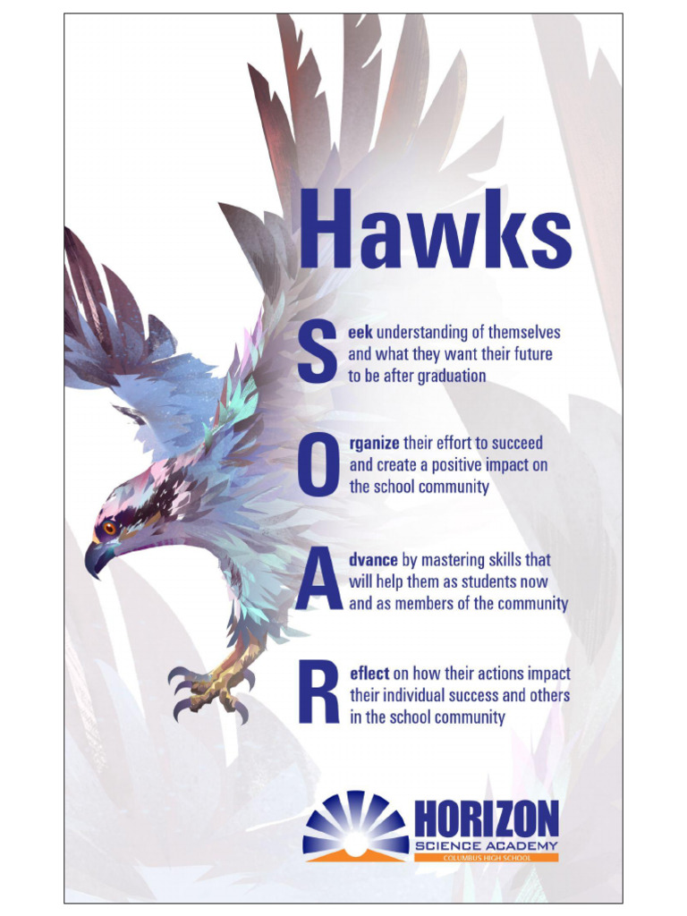 SOAR Poster | PDF