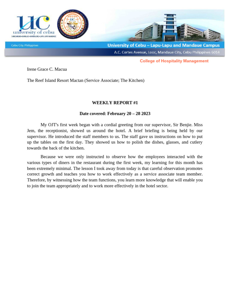 Weekly Report Format | PDF