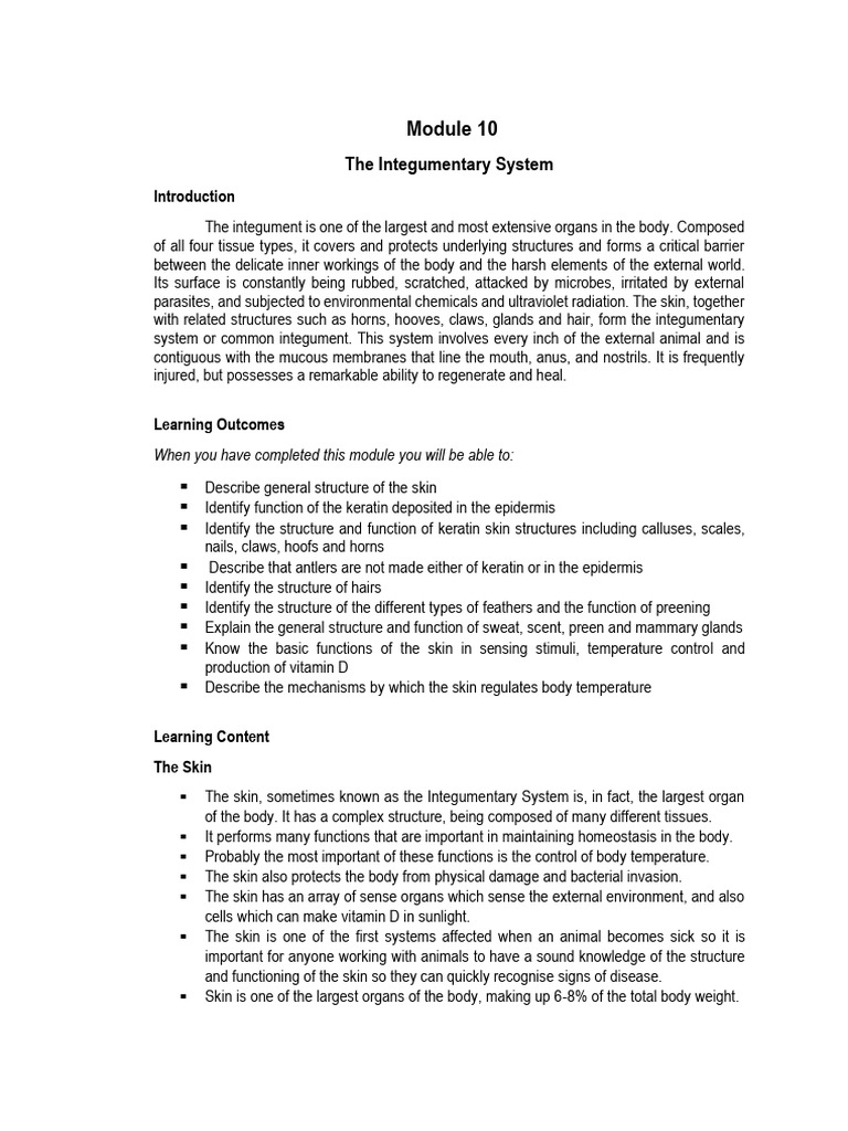 Module 10 The Integumentary System | PDF | Skin | Home & Garden