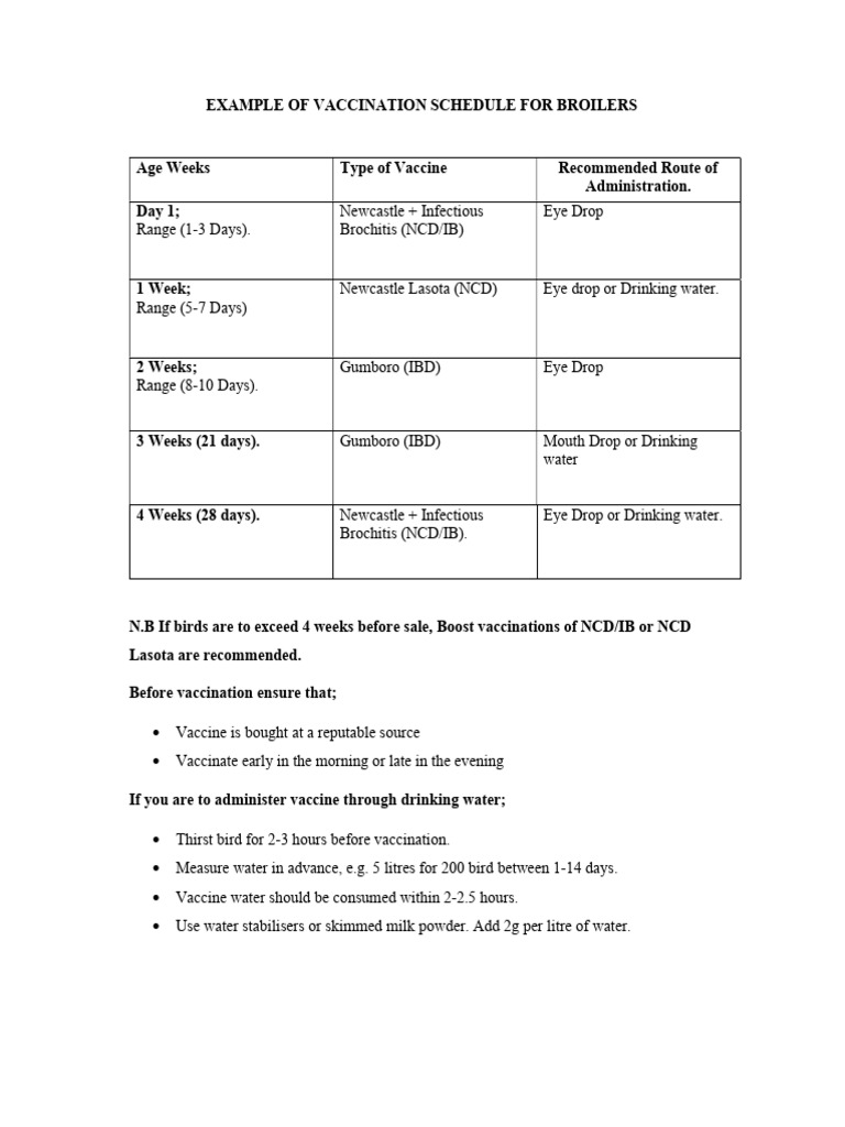 Broiler Vaccination Schedule Guide | PDF | Wellness