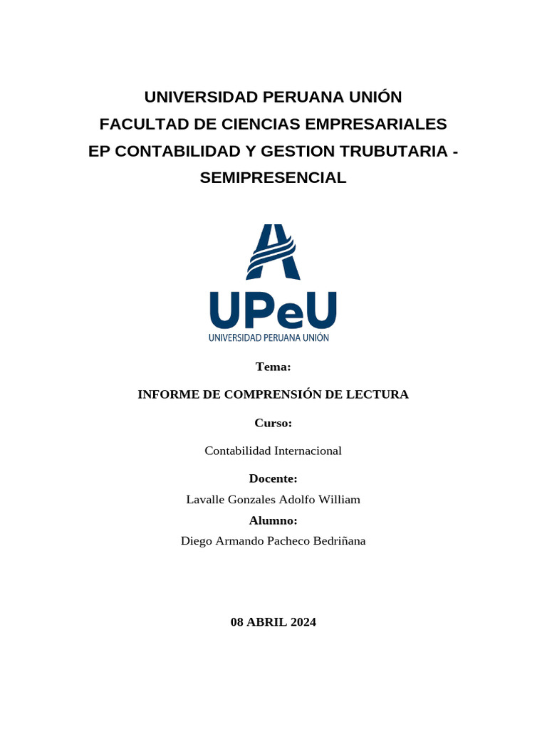 INFORME NIC 33 - Pacheco Diego | PDF