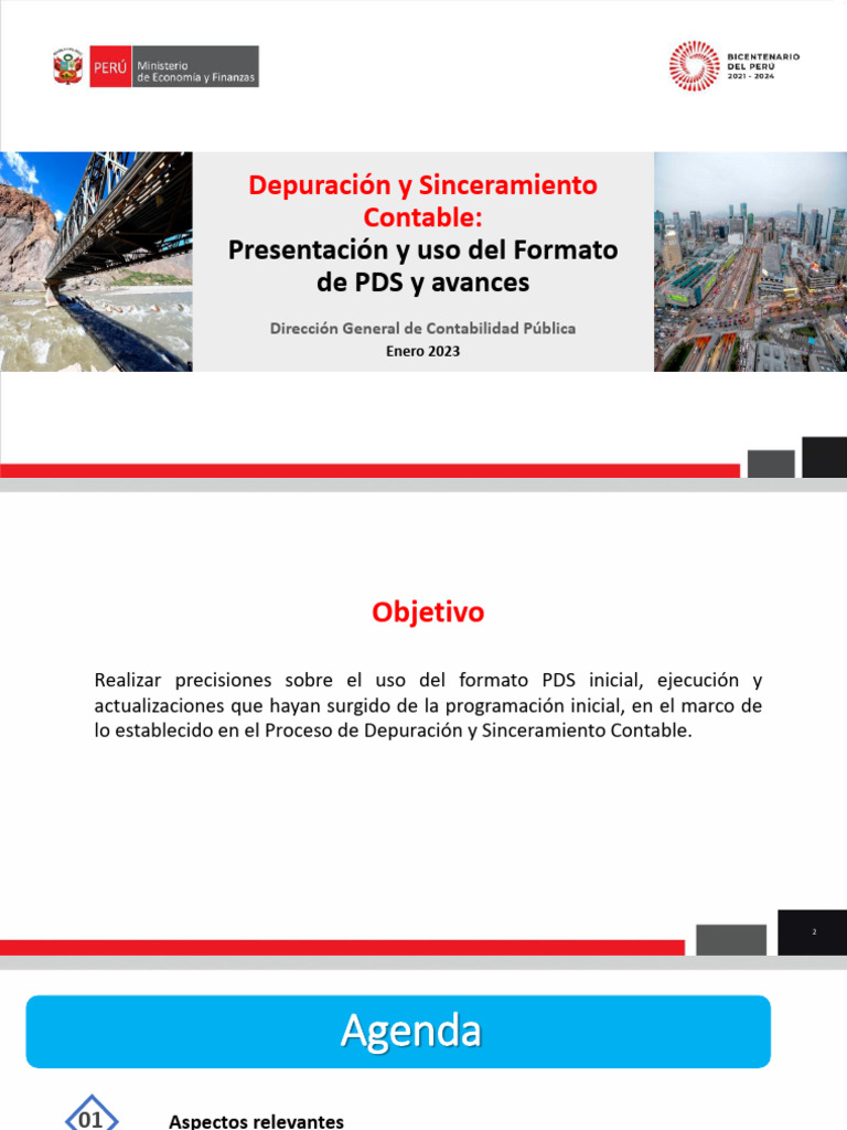 Uso de Formato PDS y Actualizaciones - 25012023 - Final | PDF